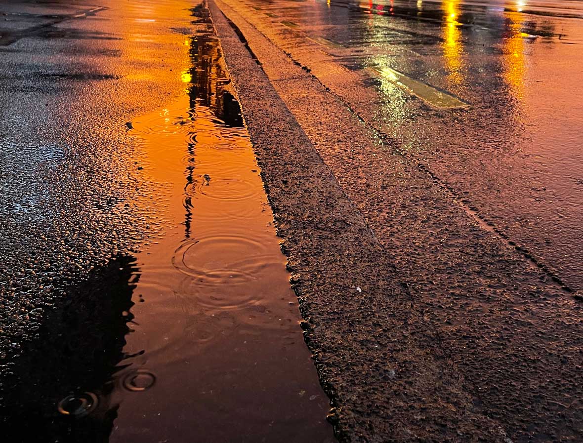 Wellington on a Rainy Day | Bolton Hotel » Bolton Hotel